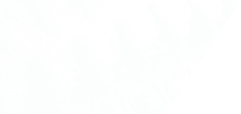 Foley Cat Locations | Cat® Dealer Locations in NJ, PA & DE